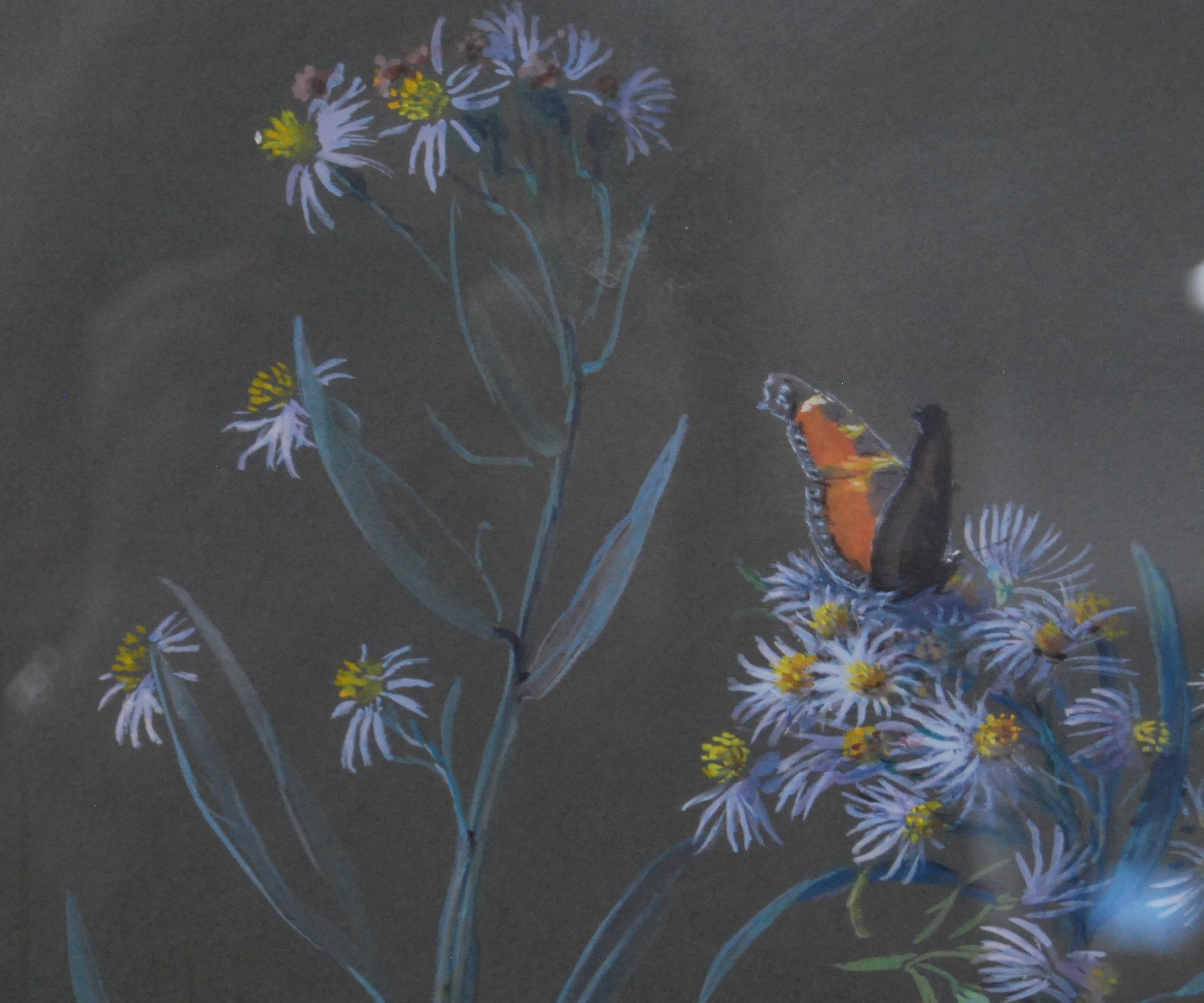 Donald Watson | Small Tortoiseshell on Sea Aster (1976) | MutualArt