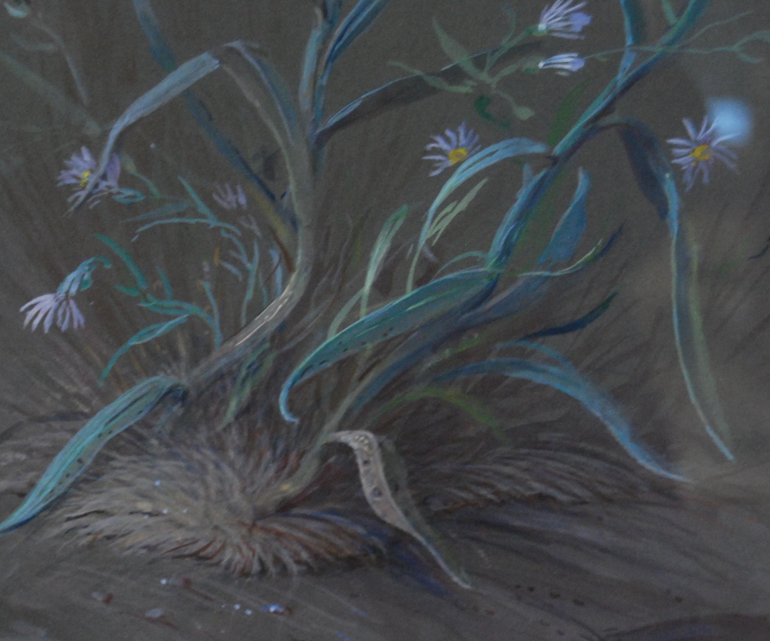Donald Watson | Small Tortoiseshell on Sea Aster (1976) | MutualArt