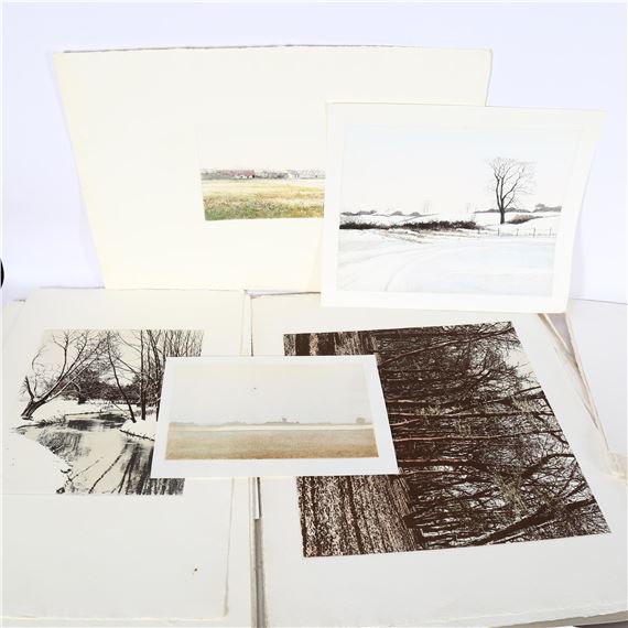 Liz Shepherd | including artist's proofs (1980) | MutualArt