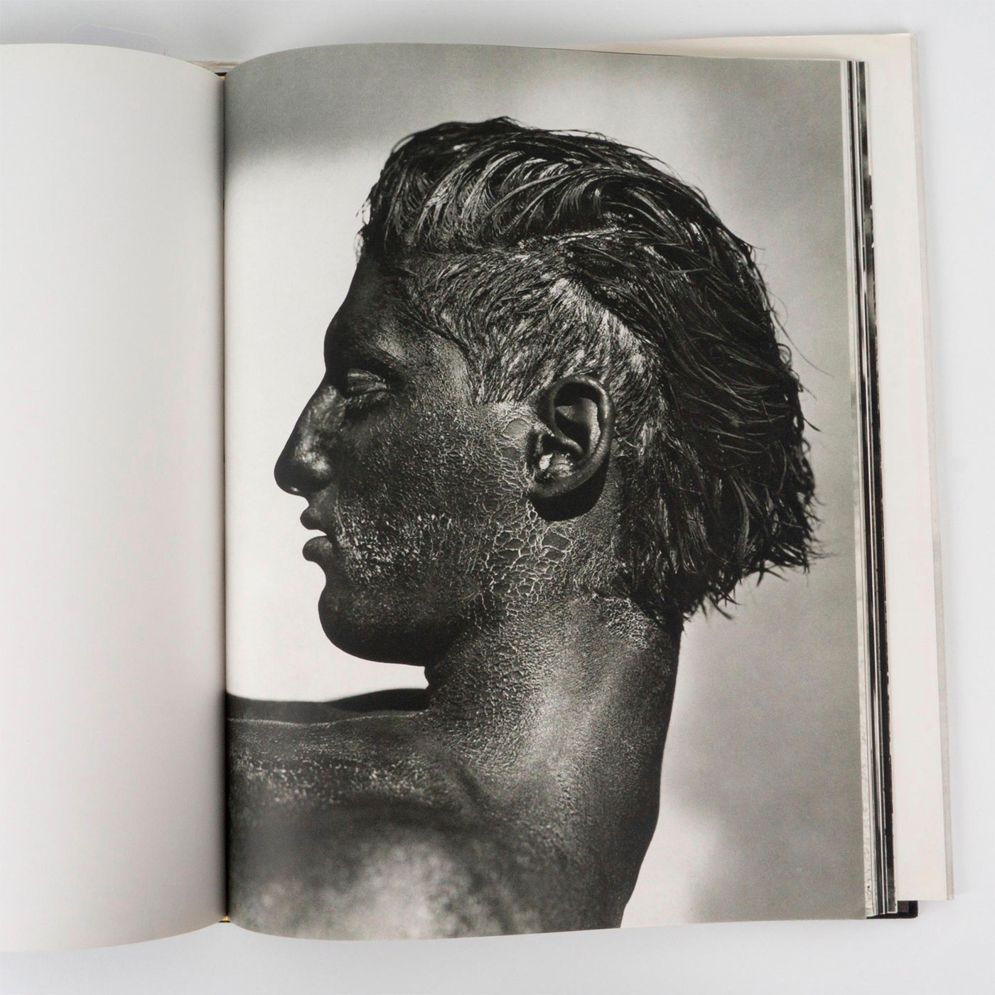 Herb Ritts | Hardcover Photo Book, Pictures (1988) | MutualArt