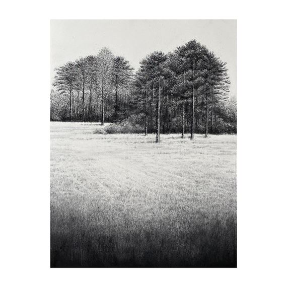 Sorca O'Farrell | 2 Artworks | MutualArt