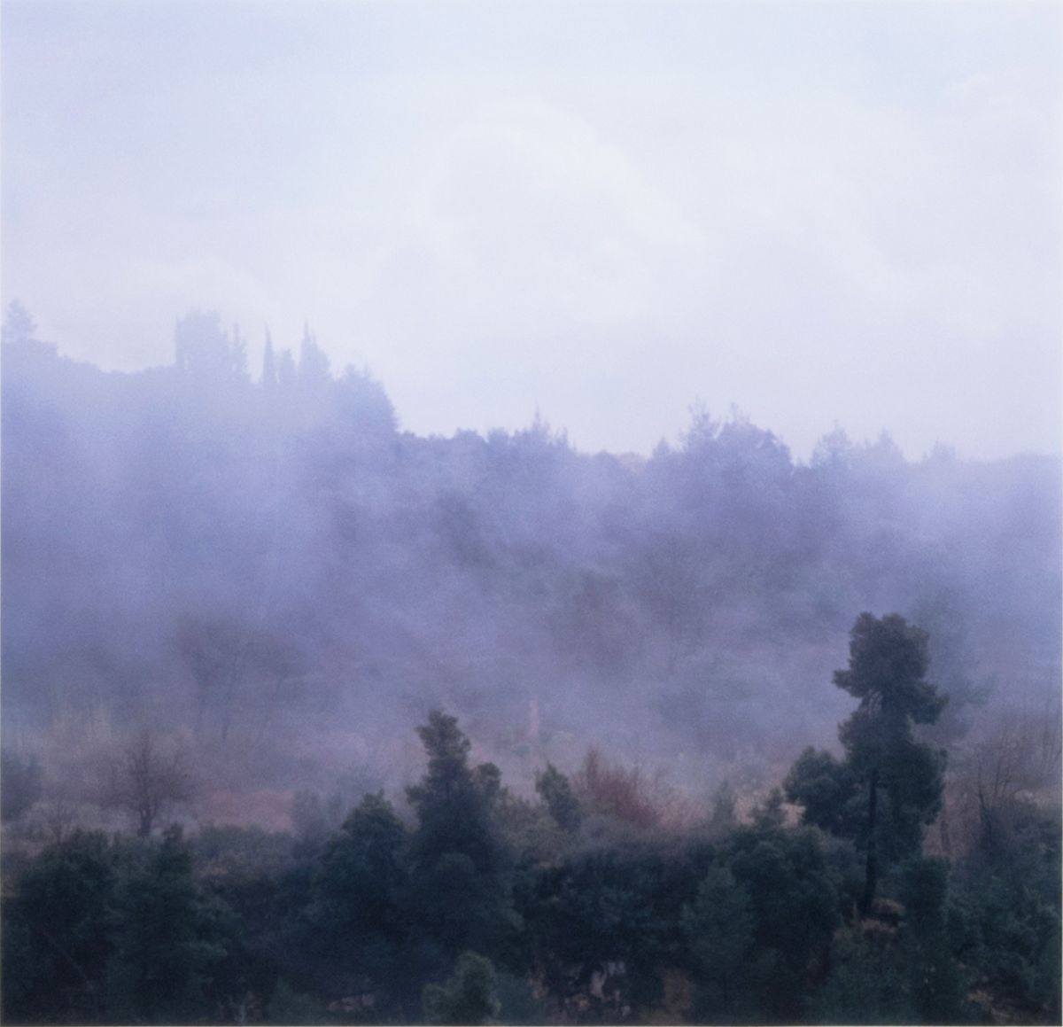 Peter Stella | Four Photographs | MutualArt