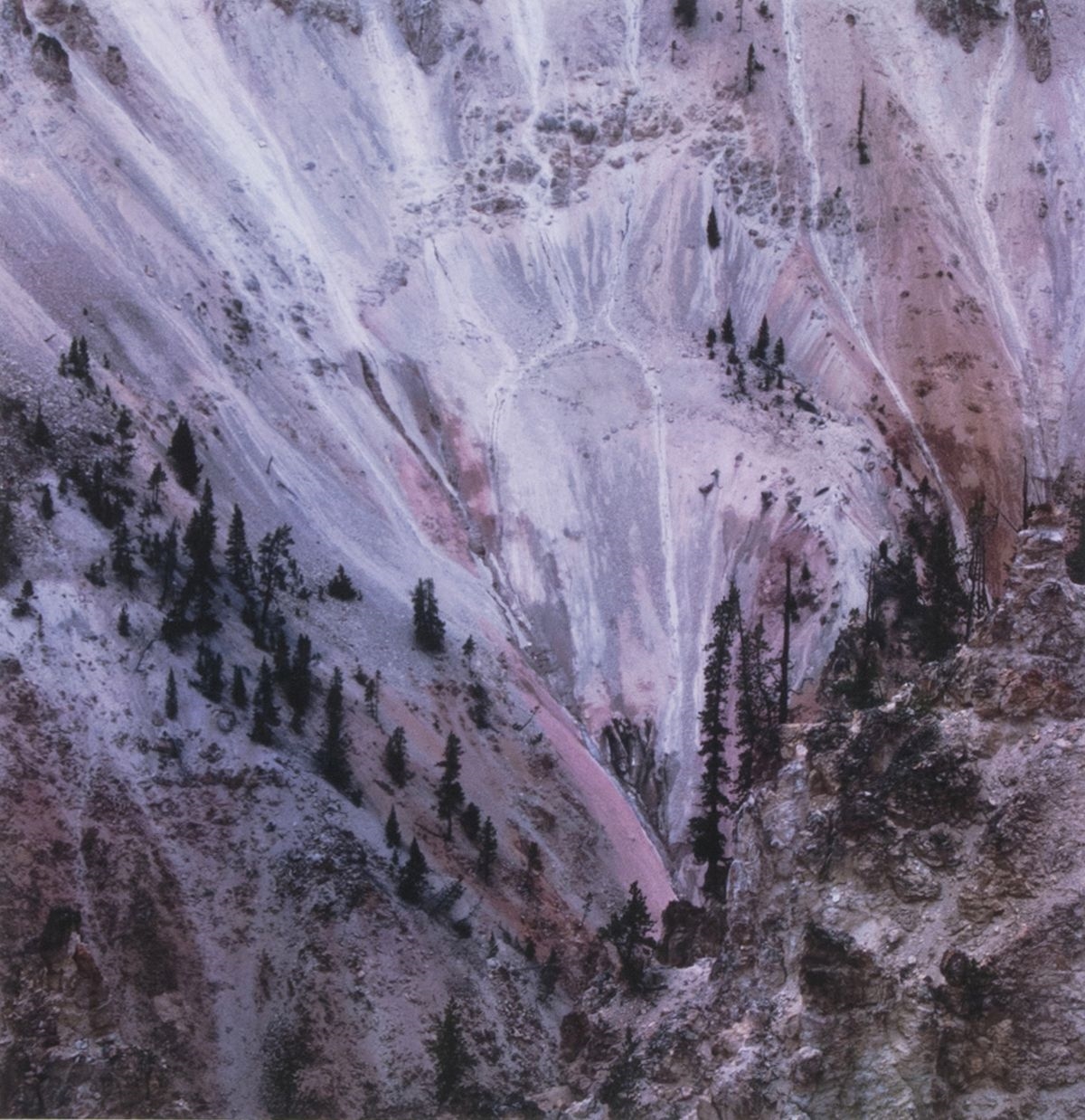 Peter Stella | Four Photographs | MutualArt