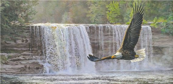 Kim Diment | 3 Artworks | MutualArt