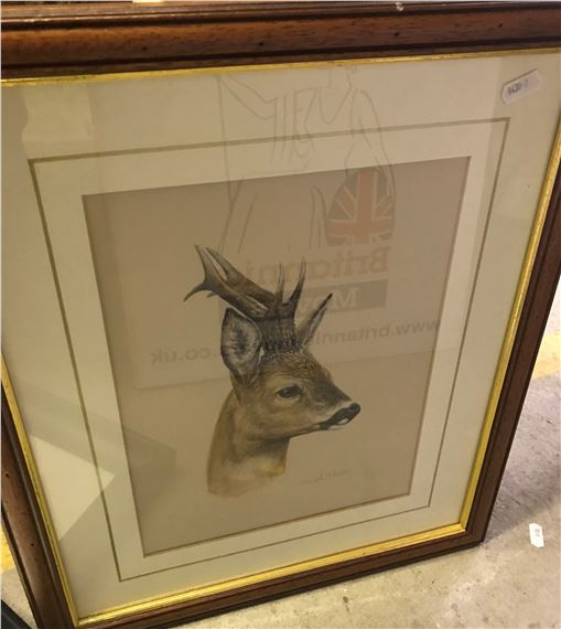 Elizabeth Halstead | Roe deer head study | MutualArt