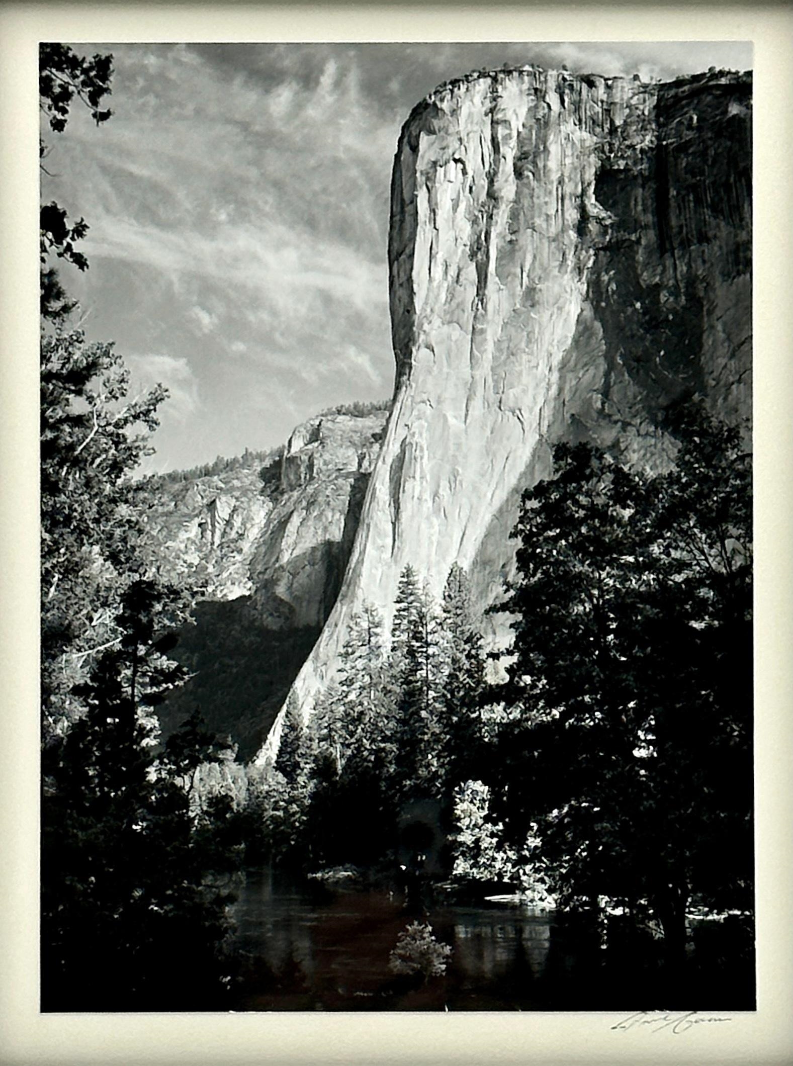 Ansel Adams | 'OAK TREE - SUN' | MutualArt