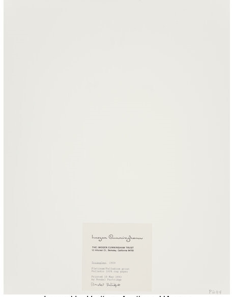 Imogen Cunningham | Triangles (1928) | MutualArt