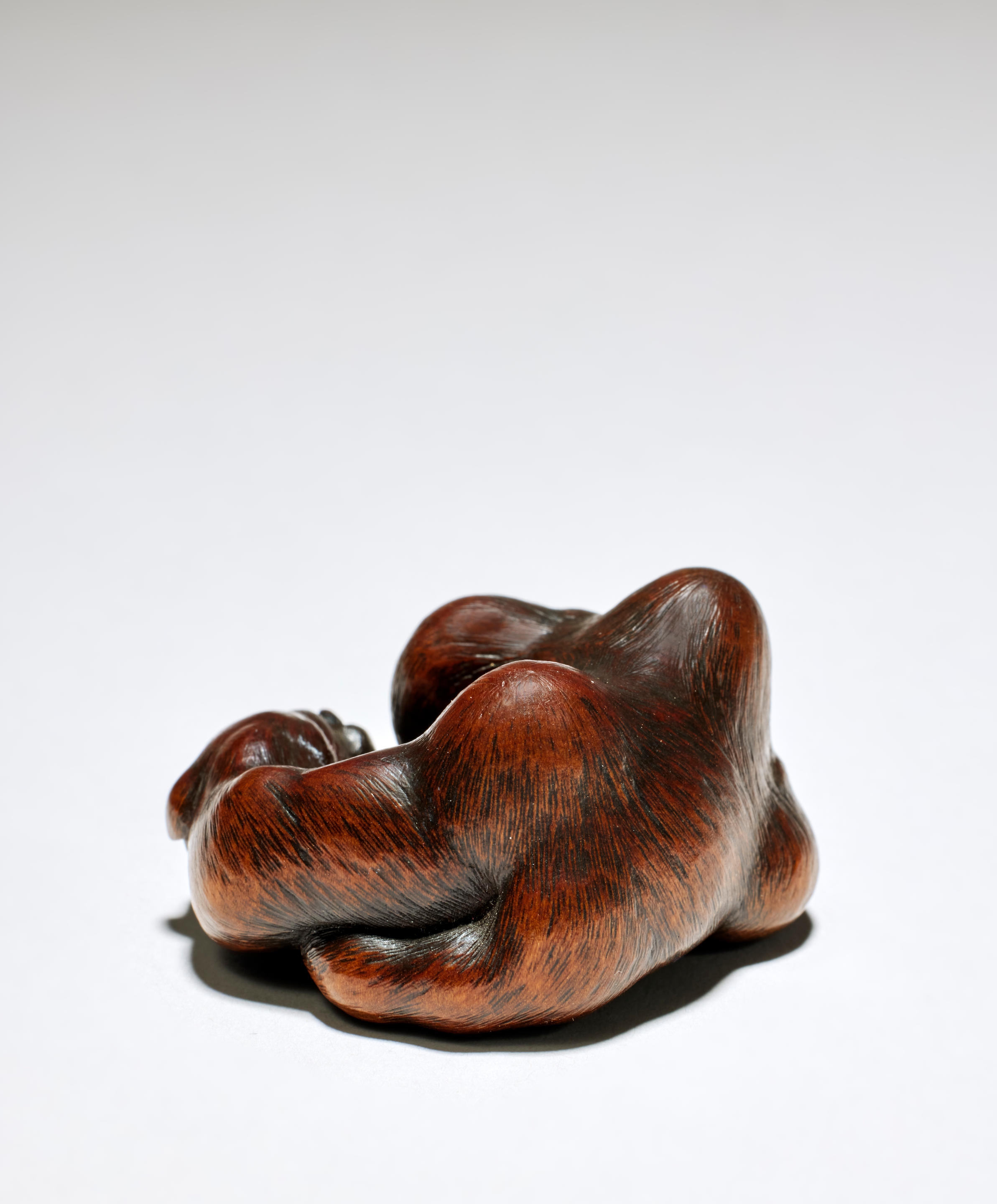 Hogen Tadayoshi | NETSUKE EN BOIS REPRÉSENTANT UN CHAMEAU DE BACTRIANE ...