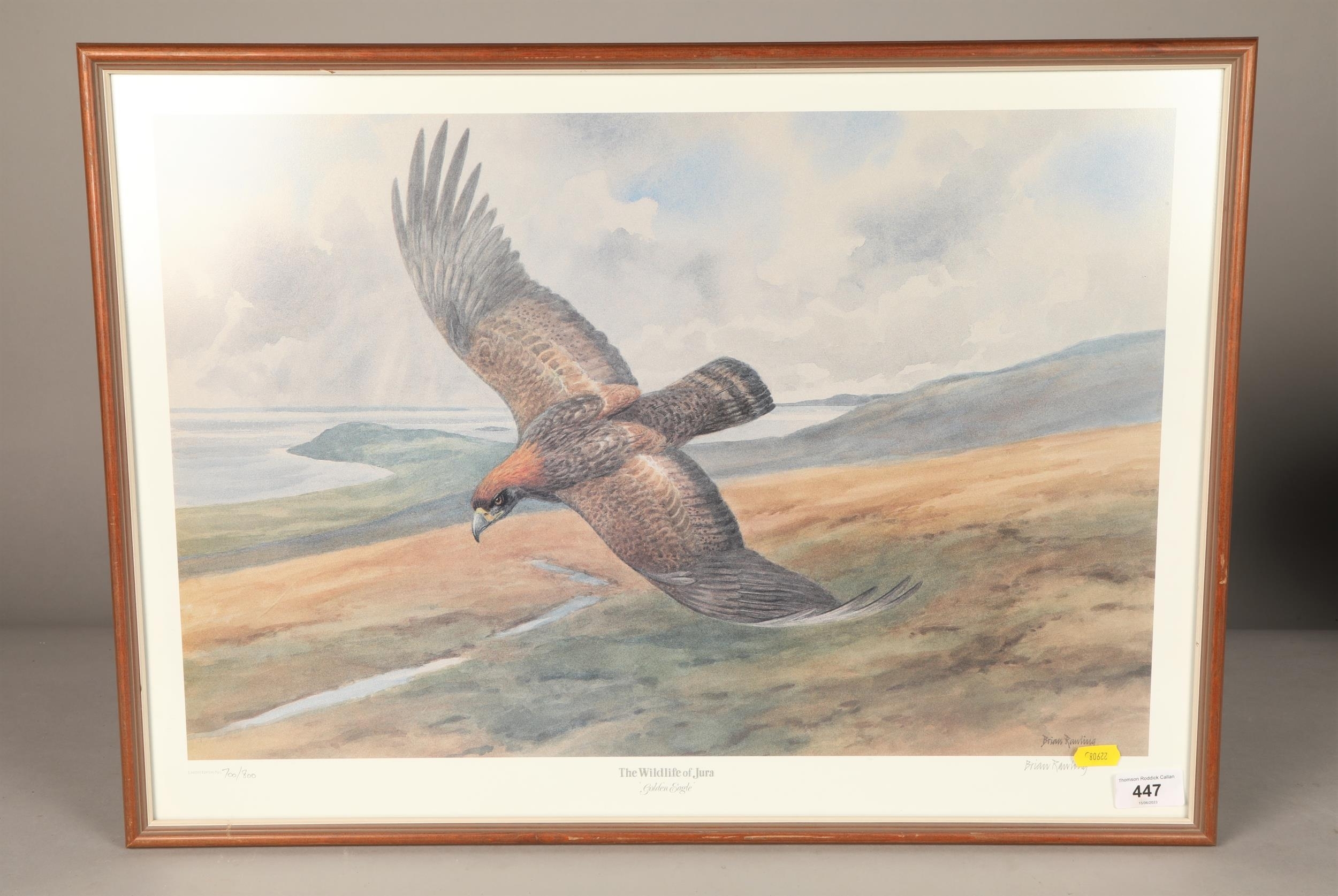 Brian Rawling | The wildlife of Jura, Golden Eagle | MutualArt