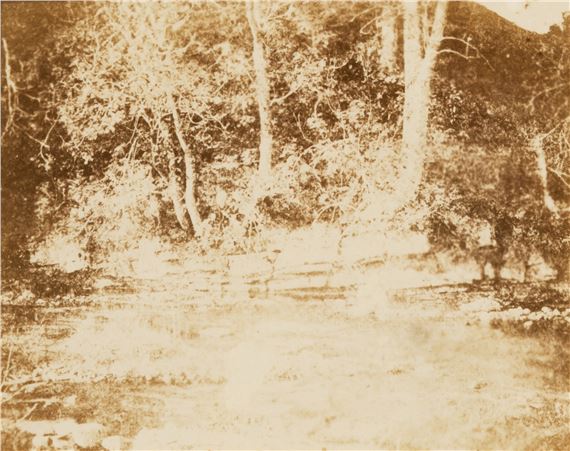 William Henry Fox Talbot | A Mountain Rivulet which flows at the foot ...