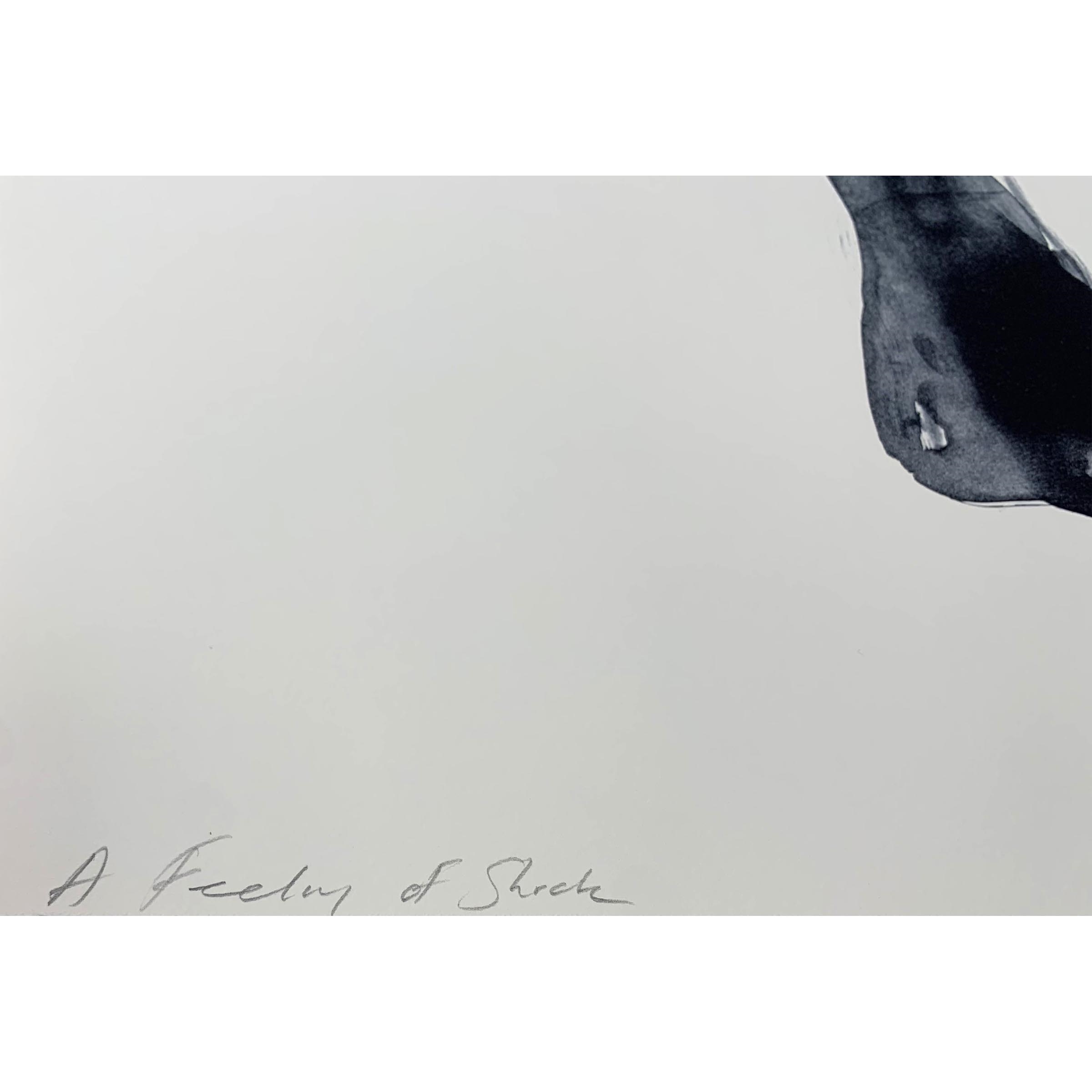 Tracey Emin | A FEELING OF SHOCK, FROM A JOURNEY TO DEATH, 2021 (2021 ...