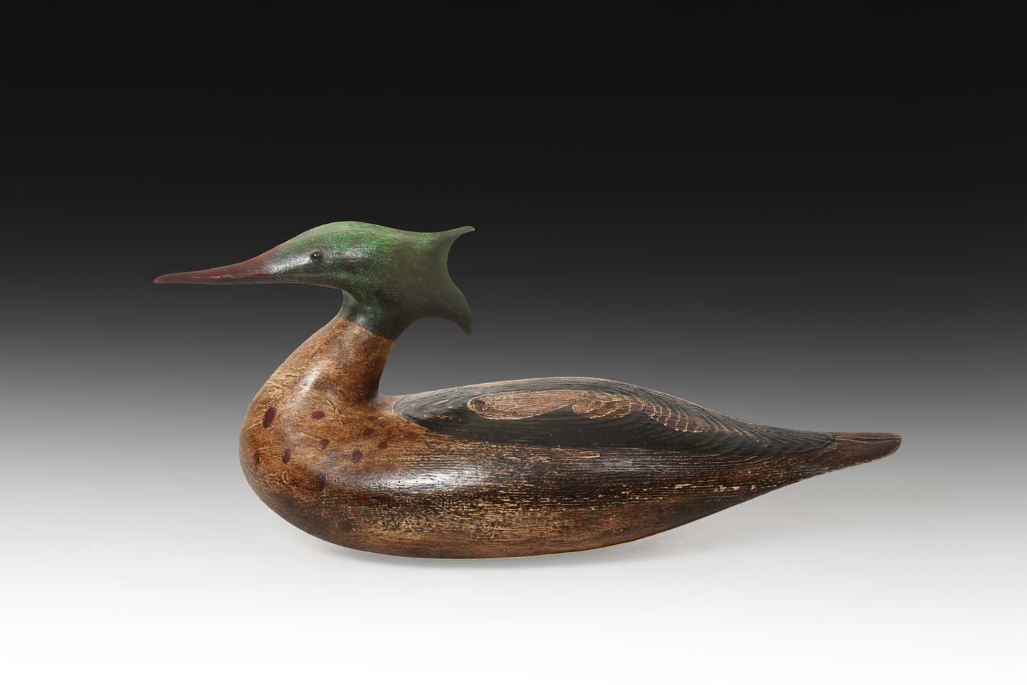 Guy Taplin | Merganser | MutualArt