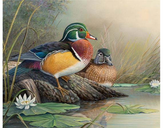 Jerry W. Thrasher | Wood Duck Pair | MutualArt