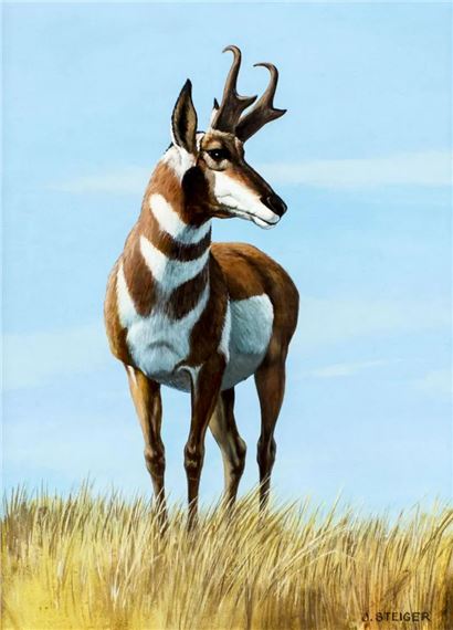 John Steiger | 2 Artworks at Auction | MutualArt