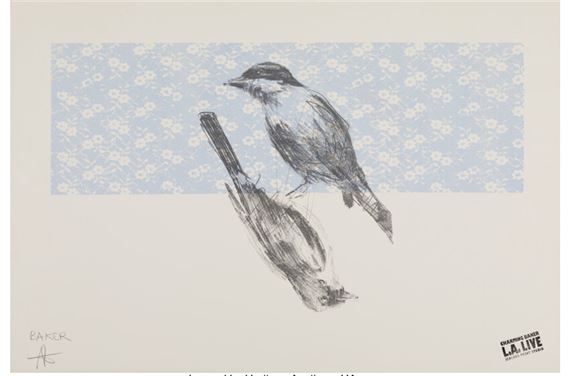 Charming Baker | Birds (2013) | MutualArt