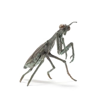 Robert Lawrence | Praying Mantis | MutualArt