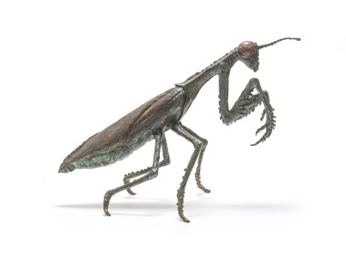 Robert Lawrence | Praying Mantis | MutualArt