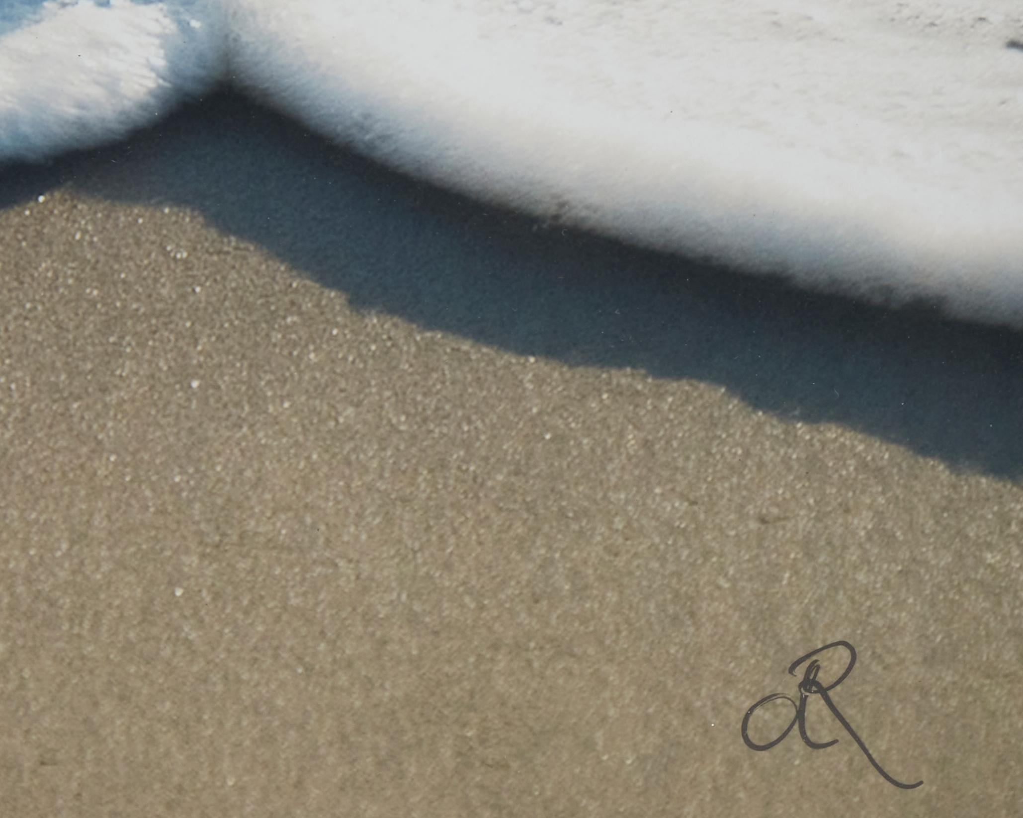 Darlene Roker | Waves and seaweed | MutualArt