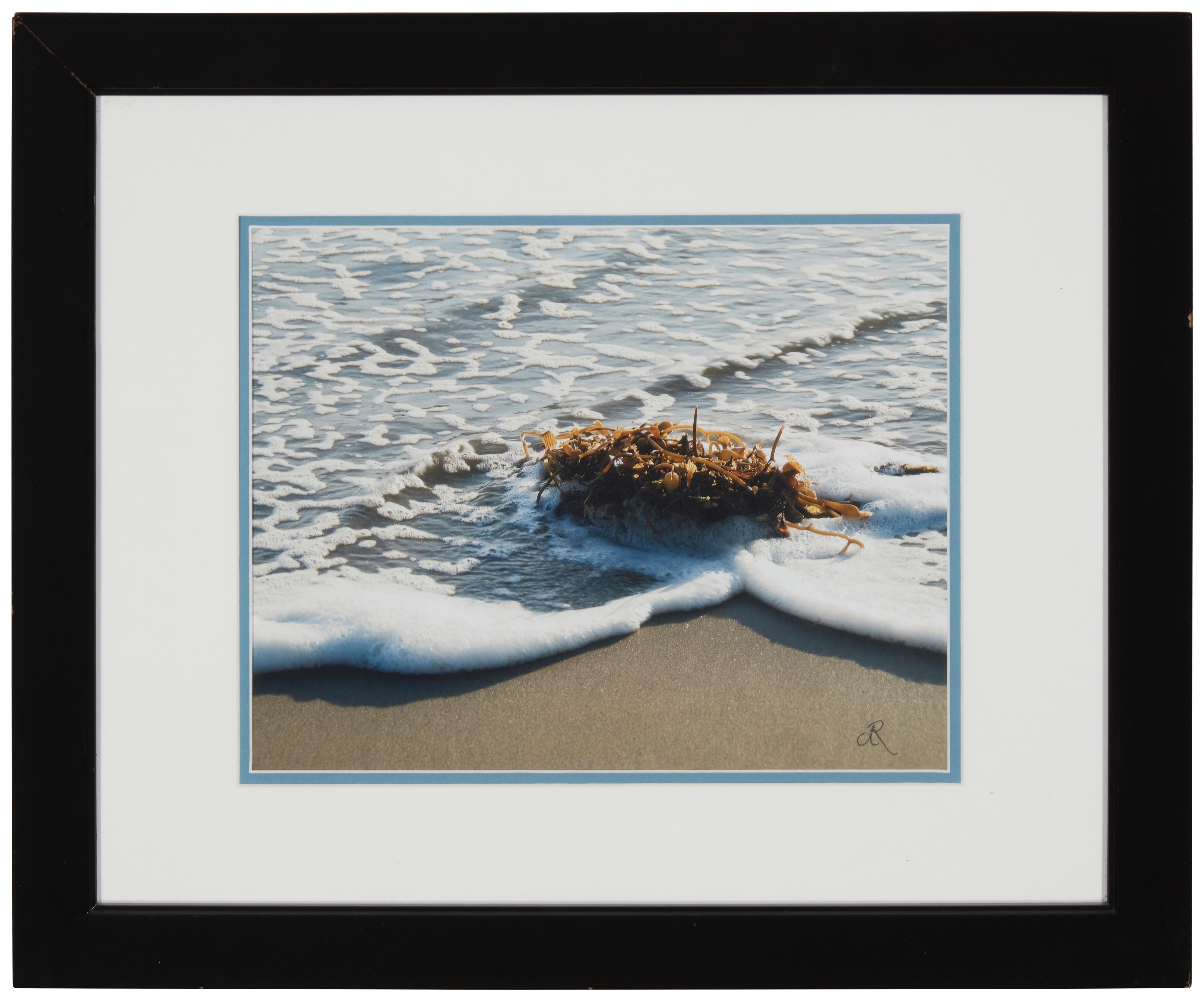 Darlene Roker | Waves and seaweed | MutualArt