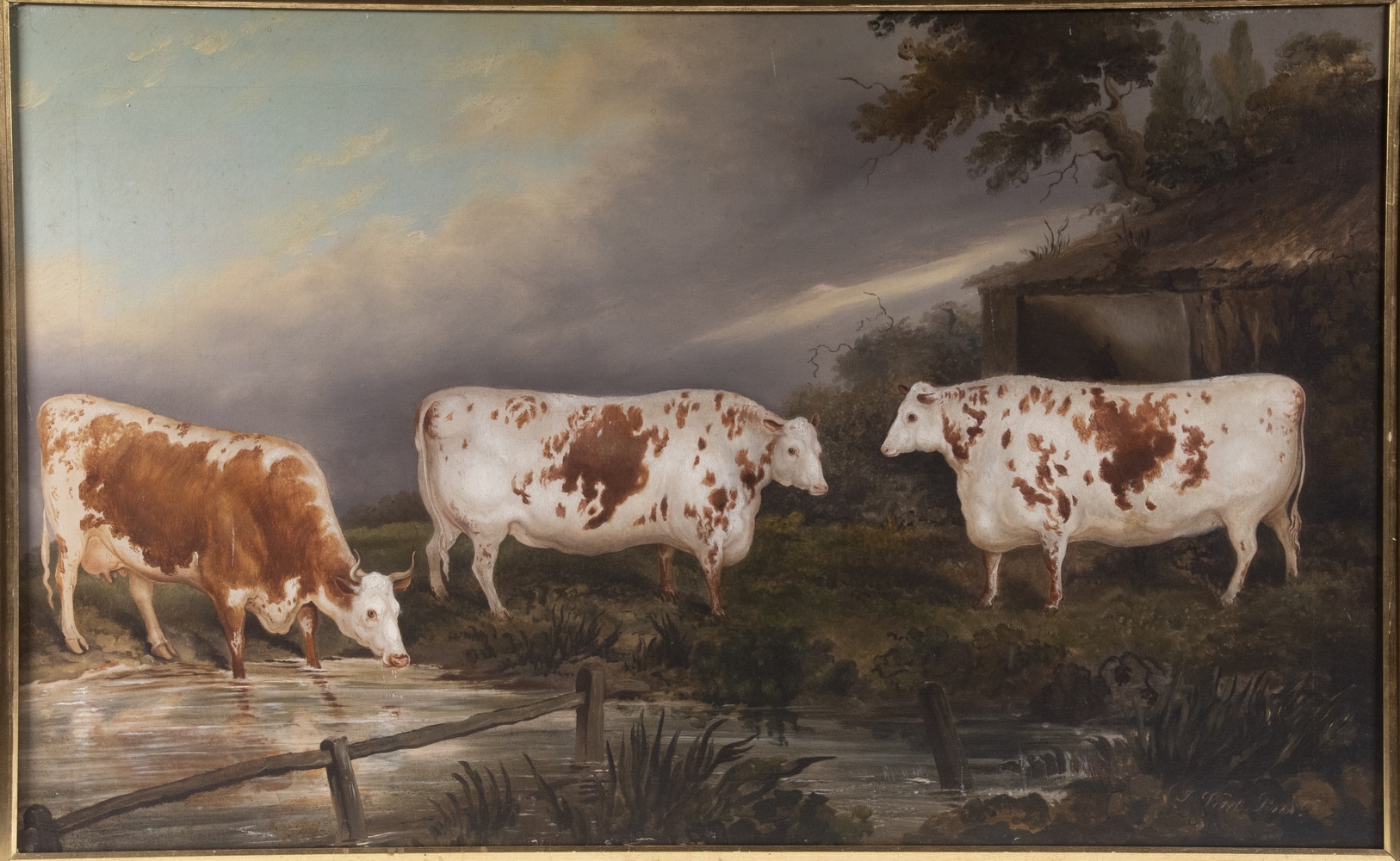 John Vine | Bovine Portrait of three cows in pasture stream | MutualArt