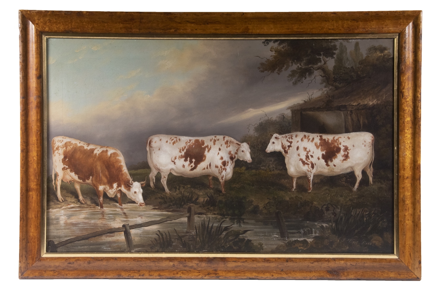 John Vine | Bovine Portrait of three cows in pasture stream | MutualArt