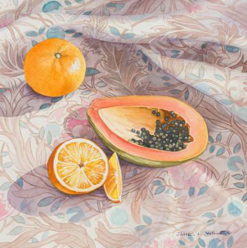 Jane Wiles | Paw Paw and Orange | MutualArt