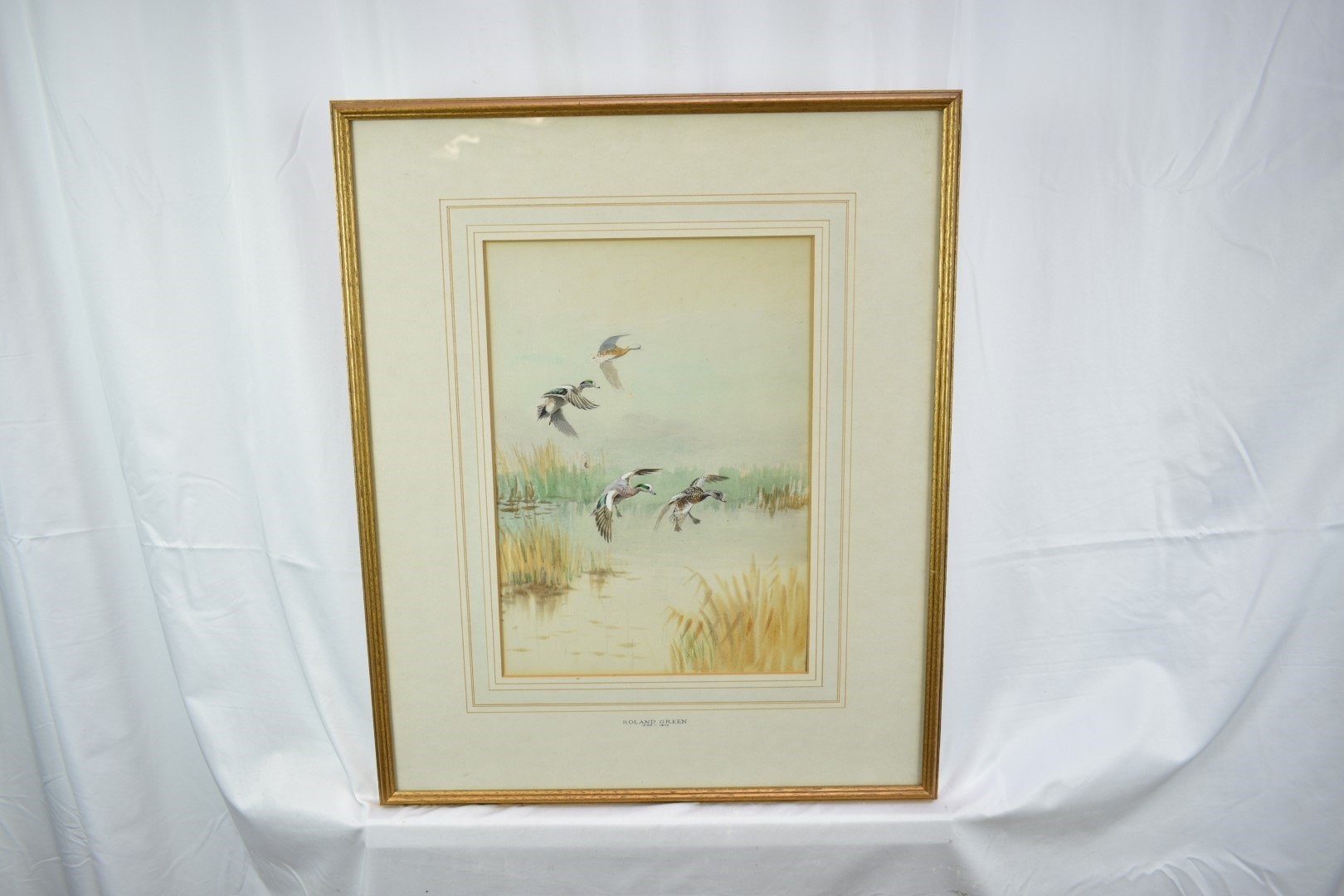 Roland Green | Widgeon in Flight | MutualArt