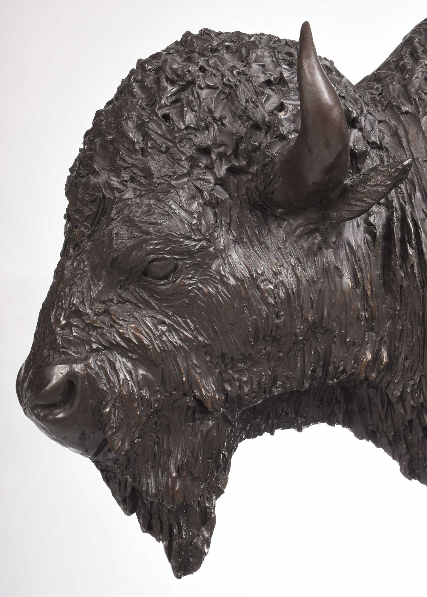 James Gruzalski | American Buffalo | MutualArt
