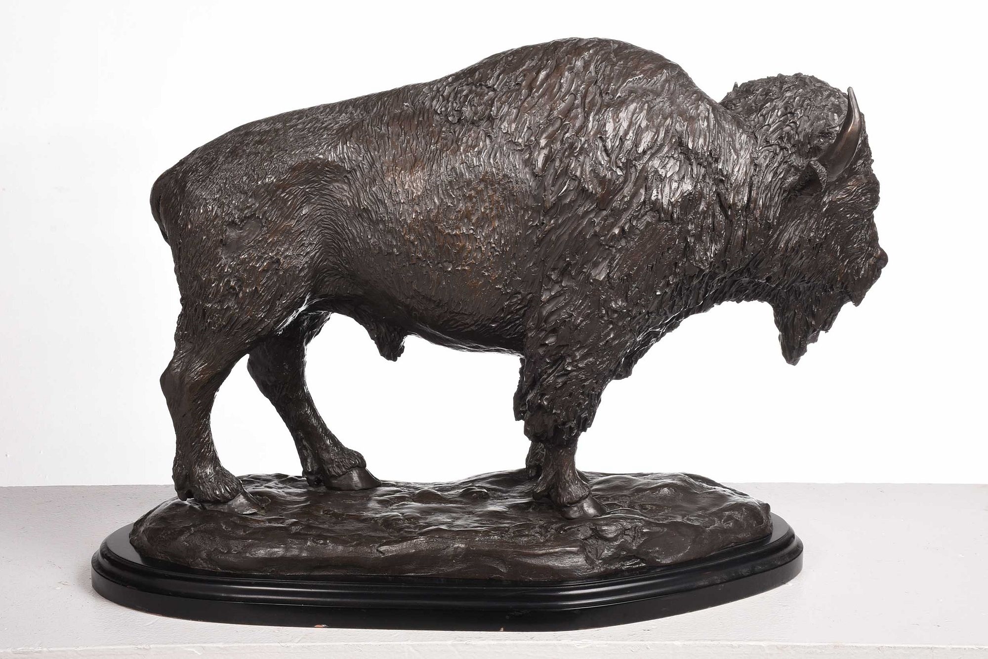 James Gruzalski | American Buffalo | MutualArt