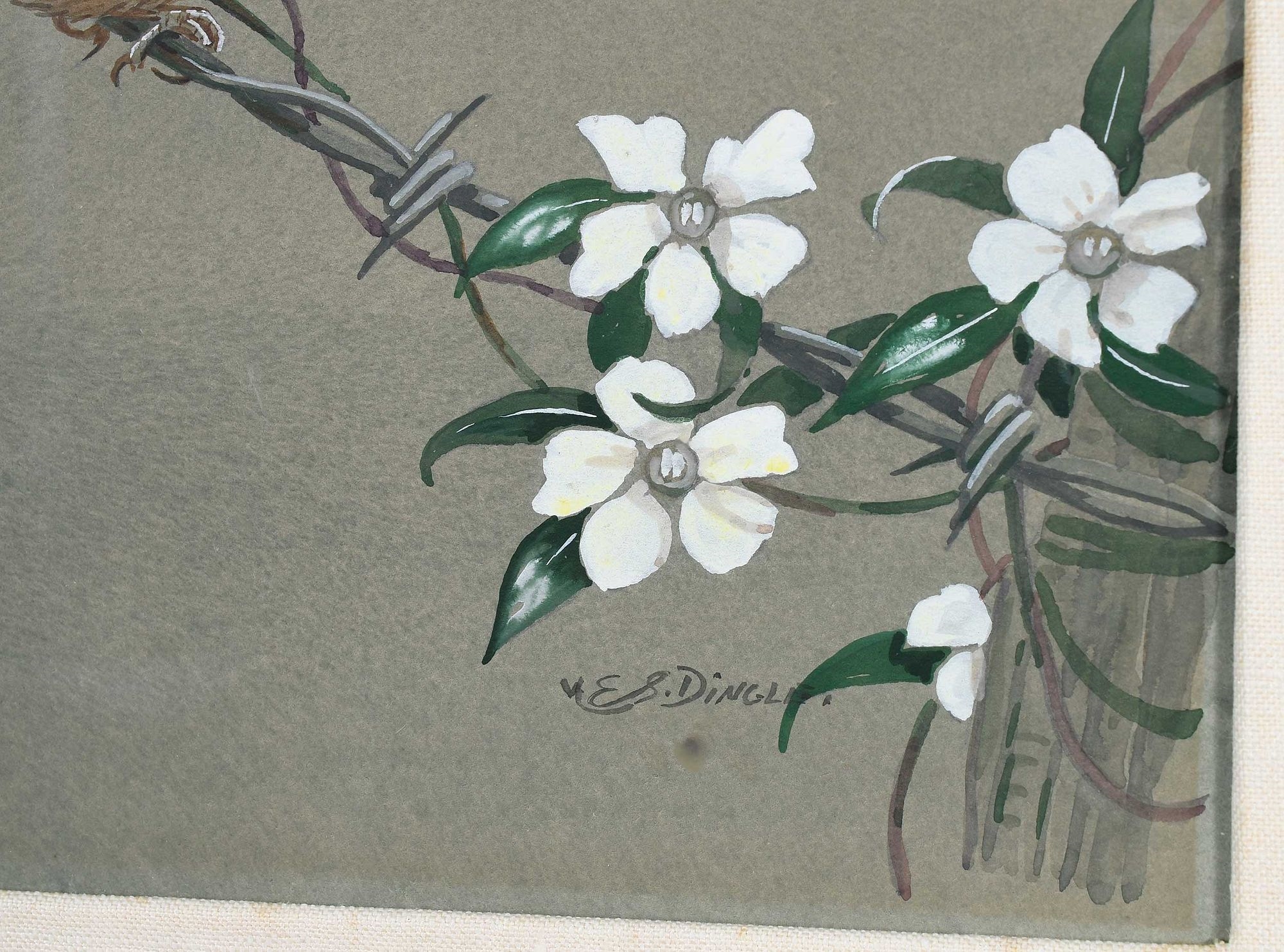 Edward von Siebold Dingle | Carolina Wren on Jessamine | MutualArt