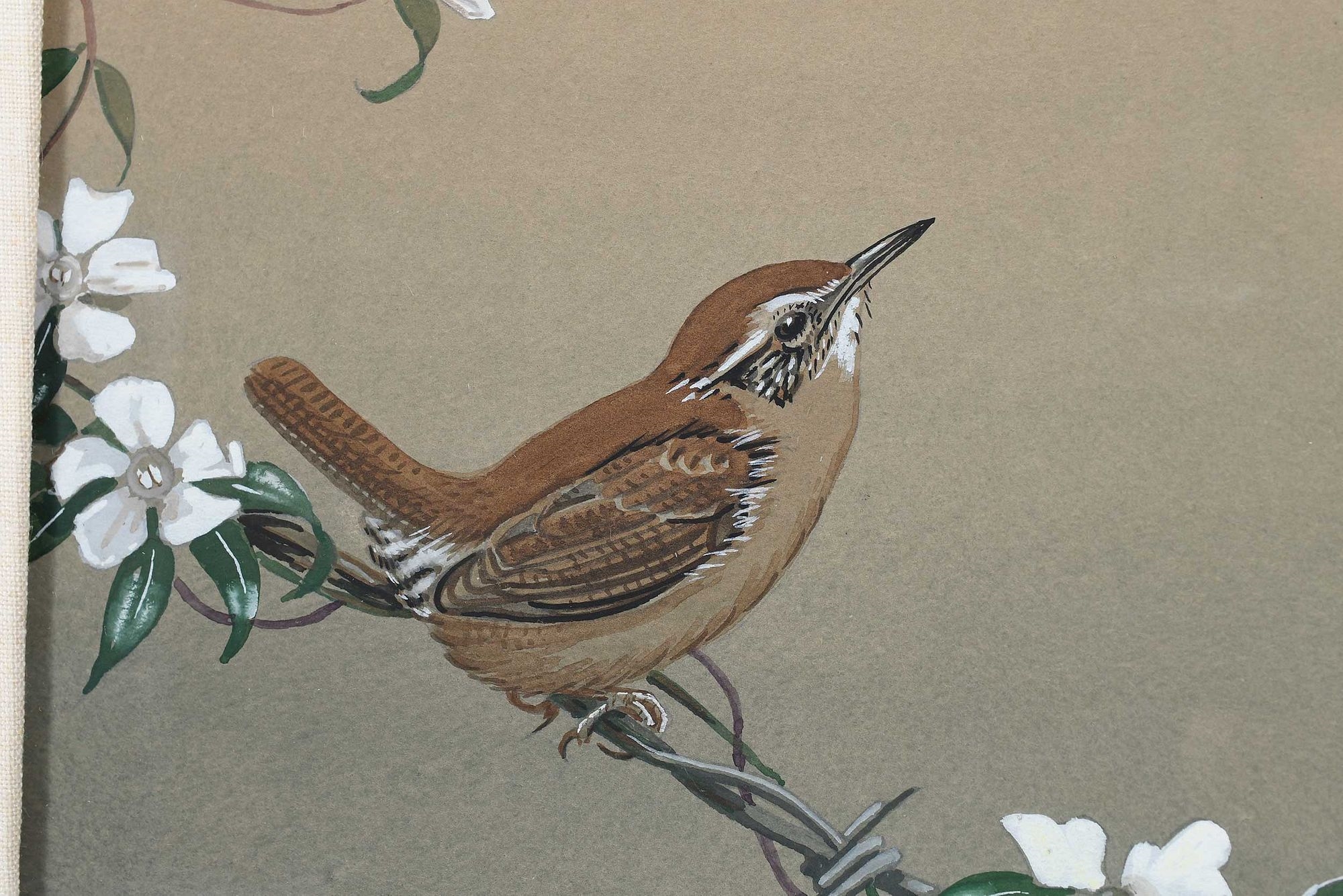 Edward von Siebold Dingle | Carolina Wren on Jessamine | MutualArt