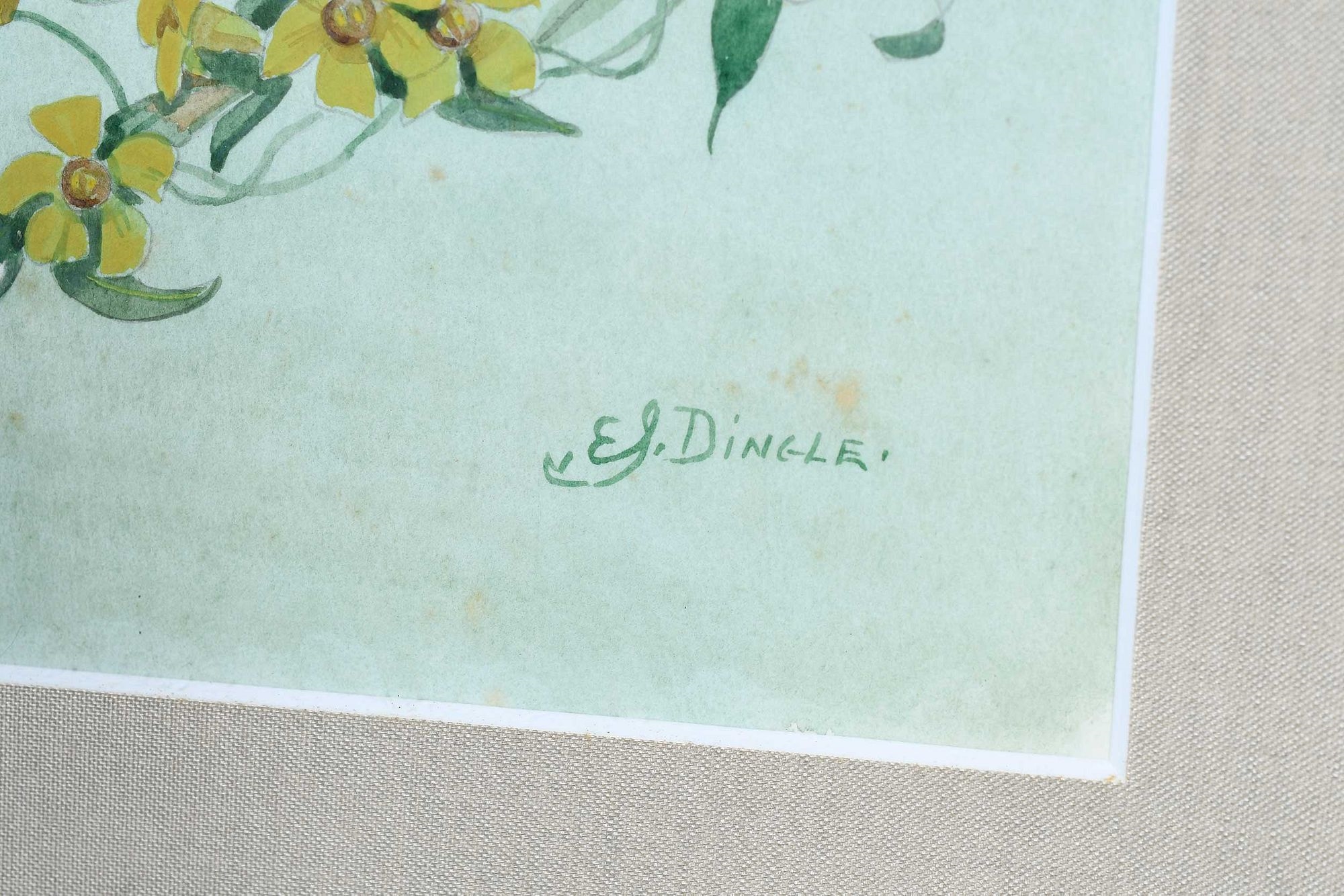 Edward von Siebold Dingle | Mockingbird and Pygmy Blue Butterfly ...