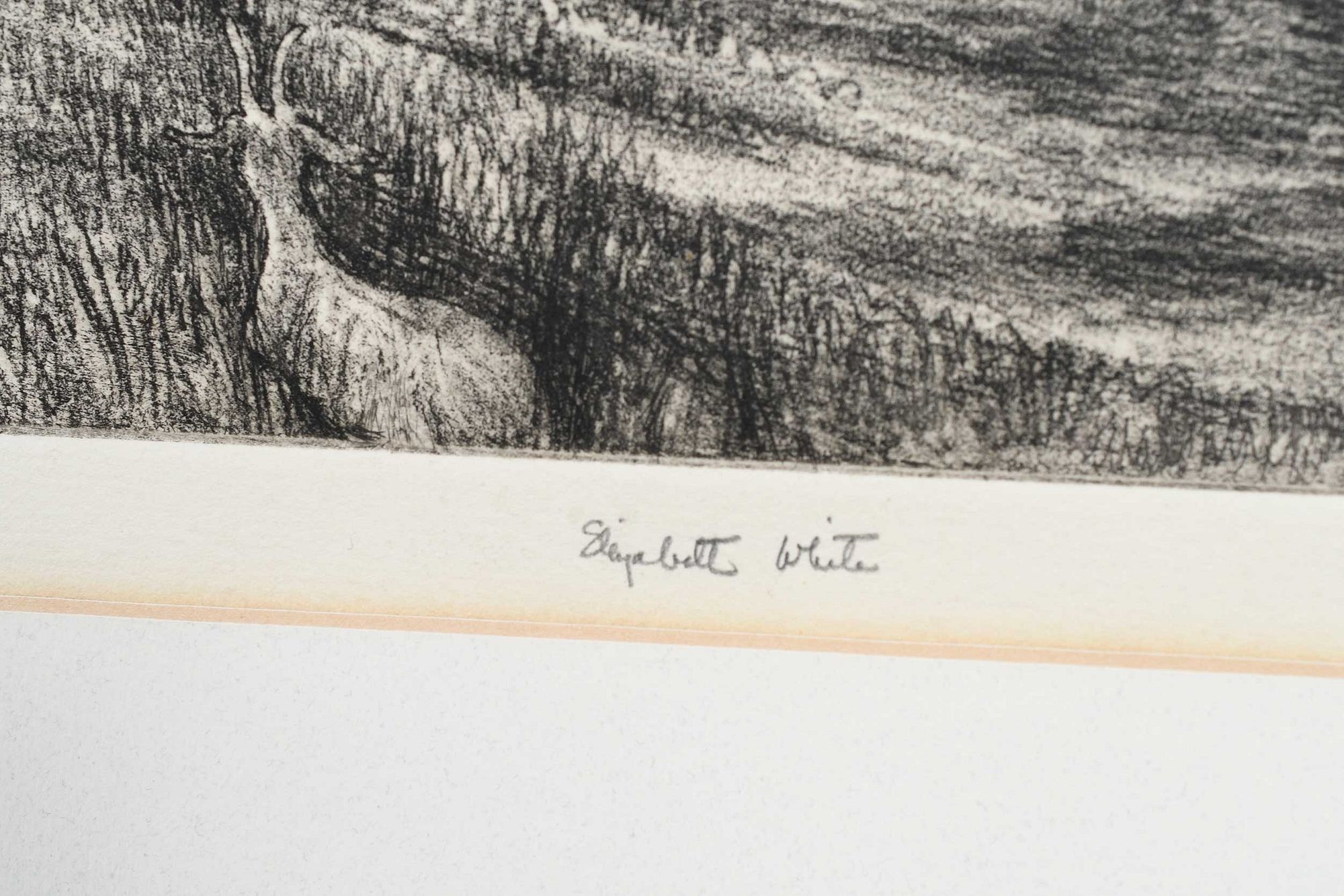 Elizabeth White | Digging Clams | MutualArt