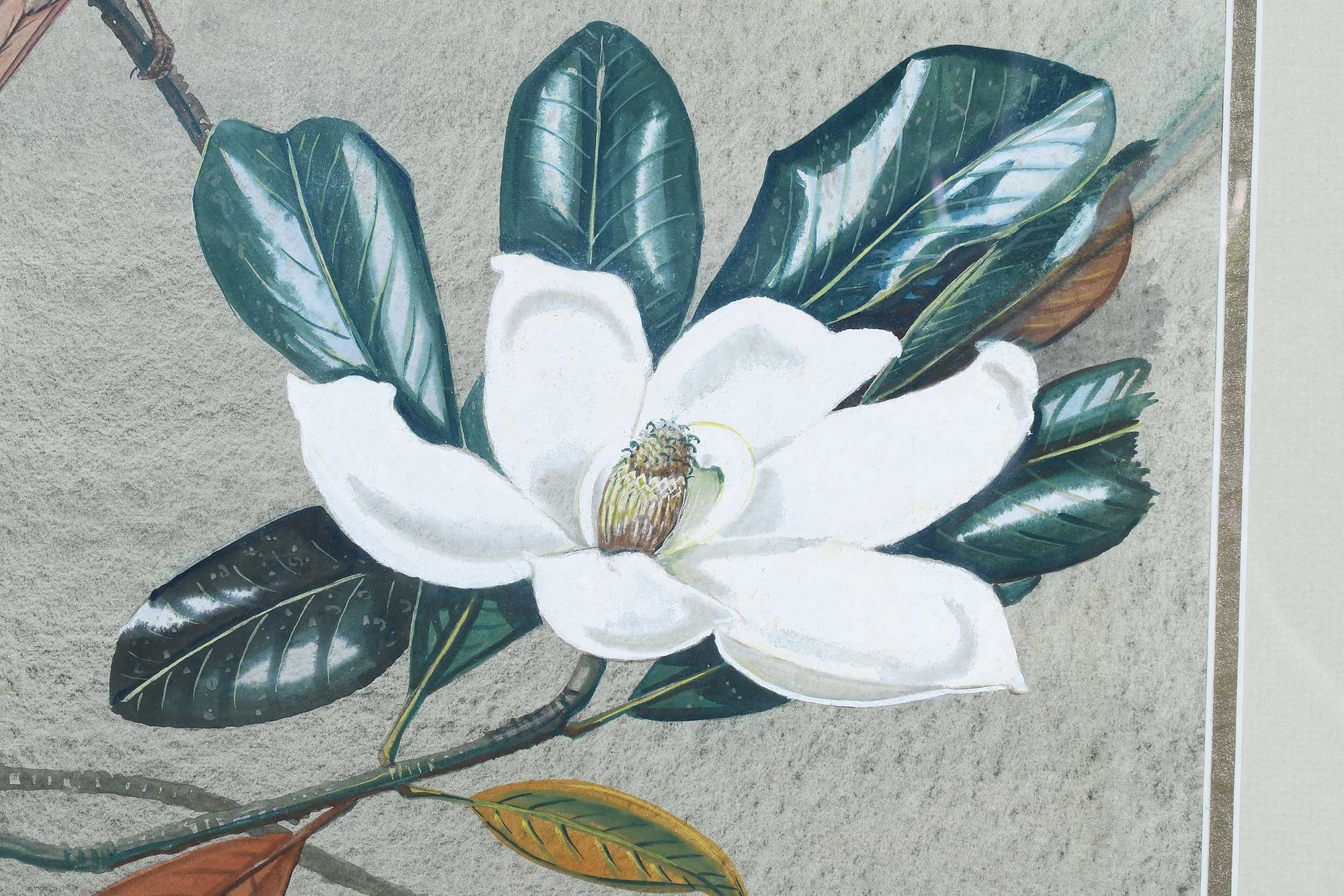 Edward von Siebold Dingle | Cardinal with Magnolia Bloom | MutualArt