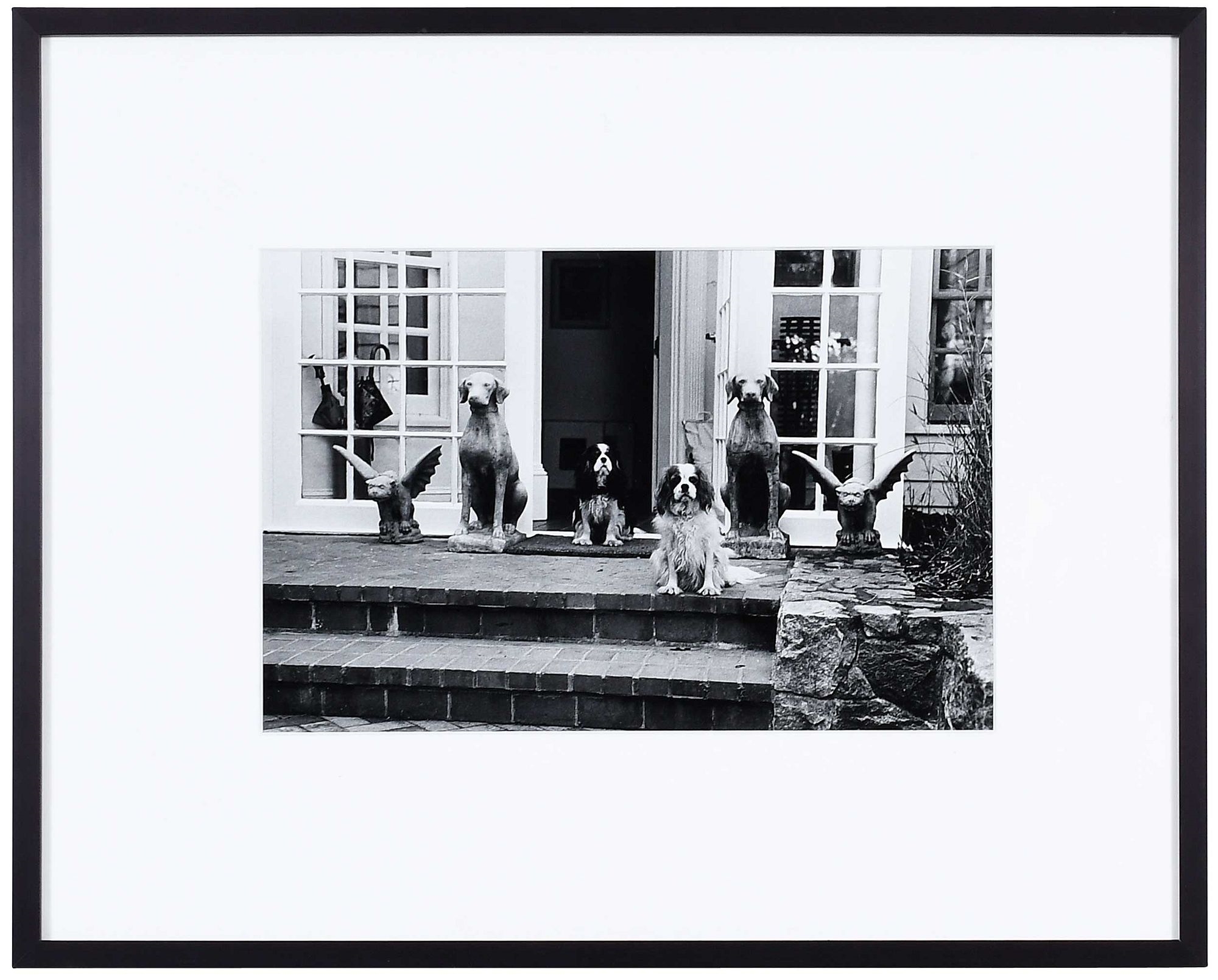 David Brooks | Dogs | MutualArt