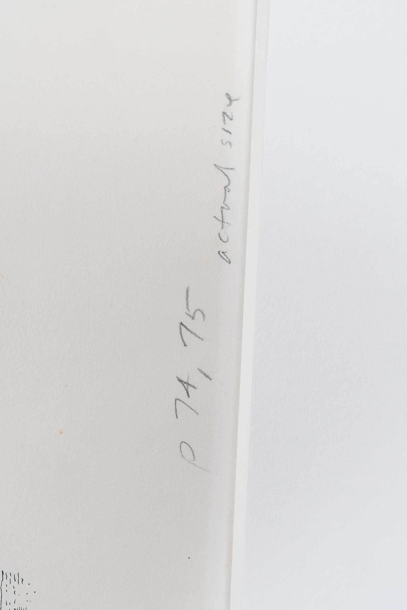 David Macaulay | Statue of Liberty (1980) | MutualArt