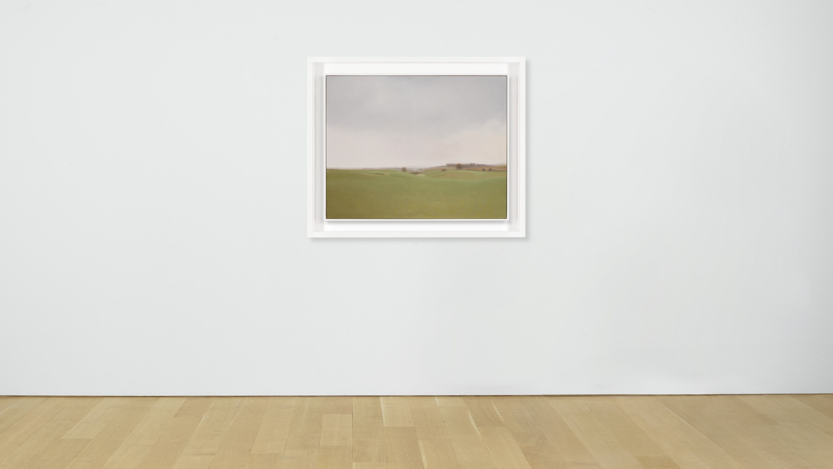 Gerhard Richter | Grünes Feld (Green Field) (1969) | MutualArt