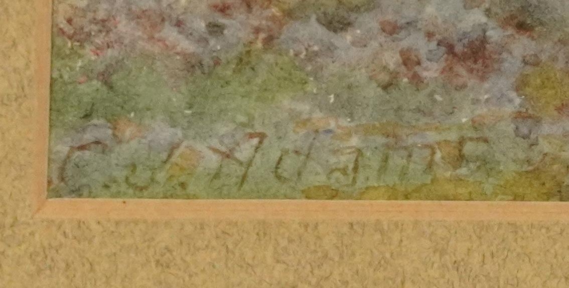 Charles James Adams | Rural landscape with path and heather | MutualArt