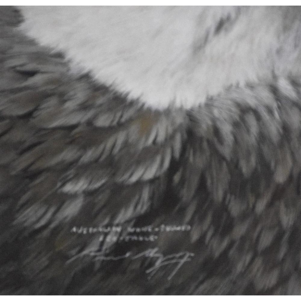 Paul Margocsy | The Eagle | MutualArt