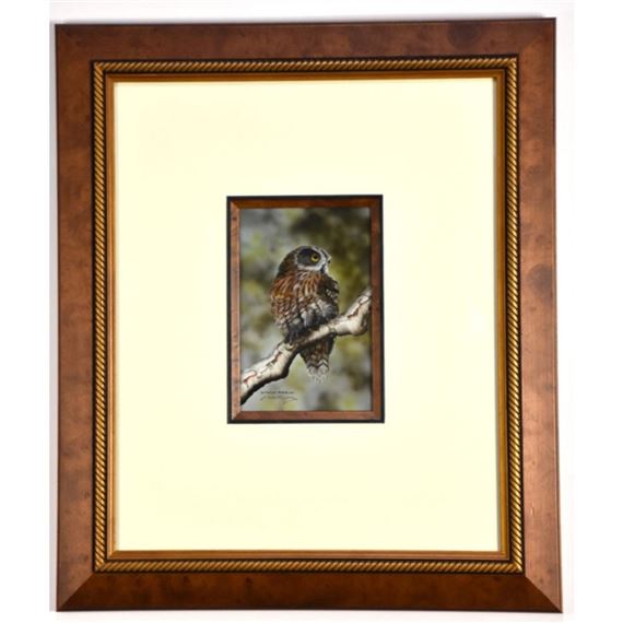 Paul Margocsy | The Australian Boobook Owl | MutualArt