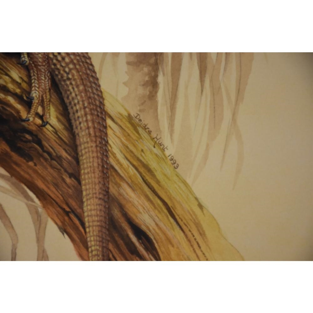 Deidre Lynette Hunt | The Thrill Neck Lizard | MutualArt