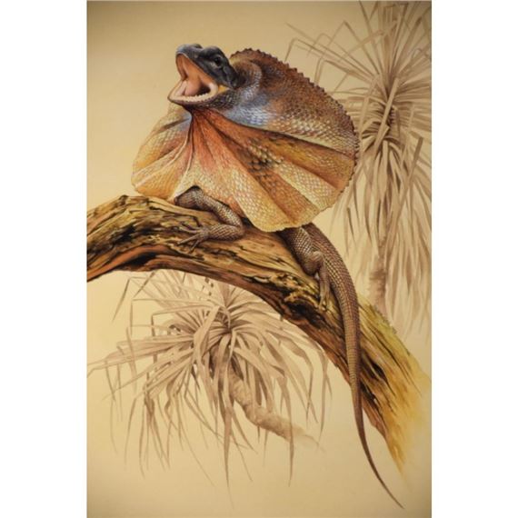 Deidre Lynette Hunt | The Thrill Neck Lizard | MutualArt