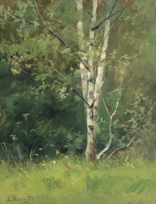 Louis Douzette | Birken im Prerower Forst | MutualArt
