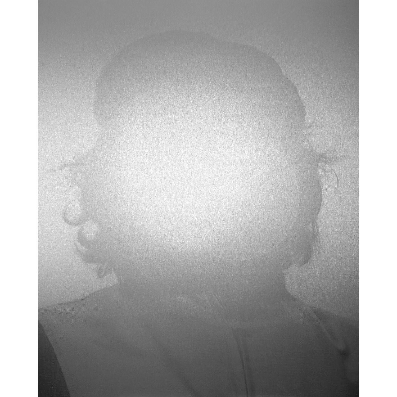 ZEVS | Visual violation- Che Guevara, 2011 (2011) | MutualArt