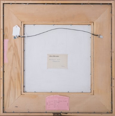 James Birnie | Back Yard Houses; Behind Hamilton Street, Toronto ...