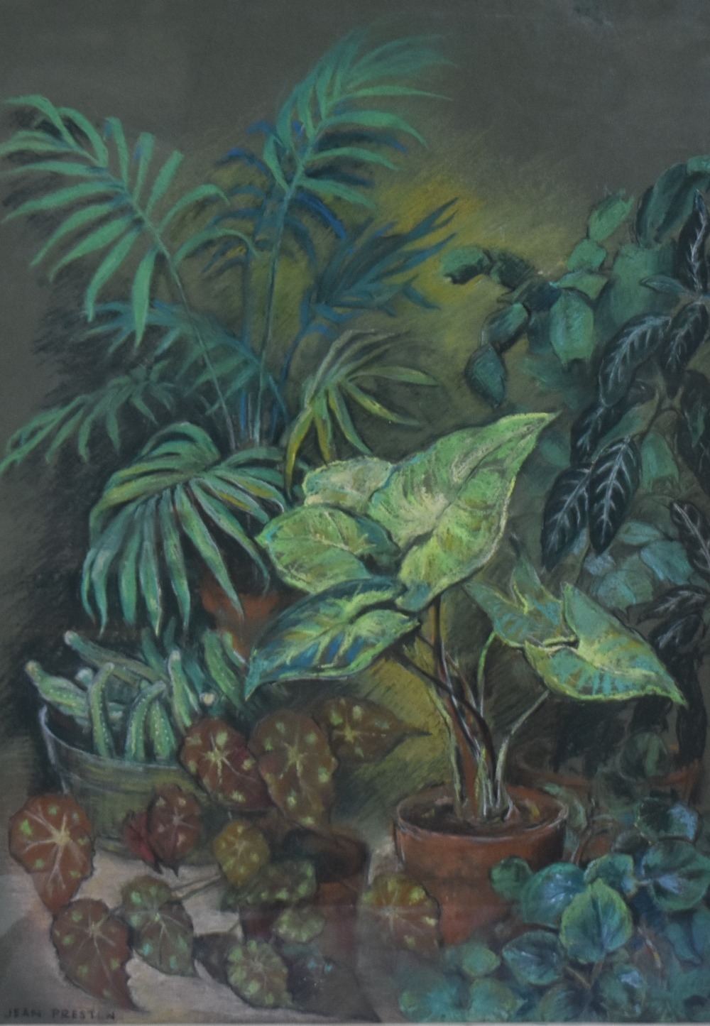 Jean Preston | A plant still life | MutualArt