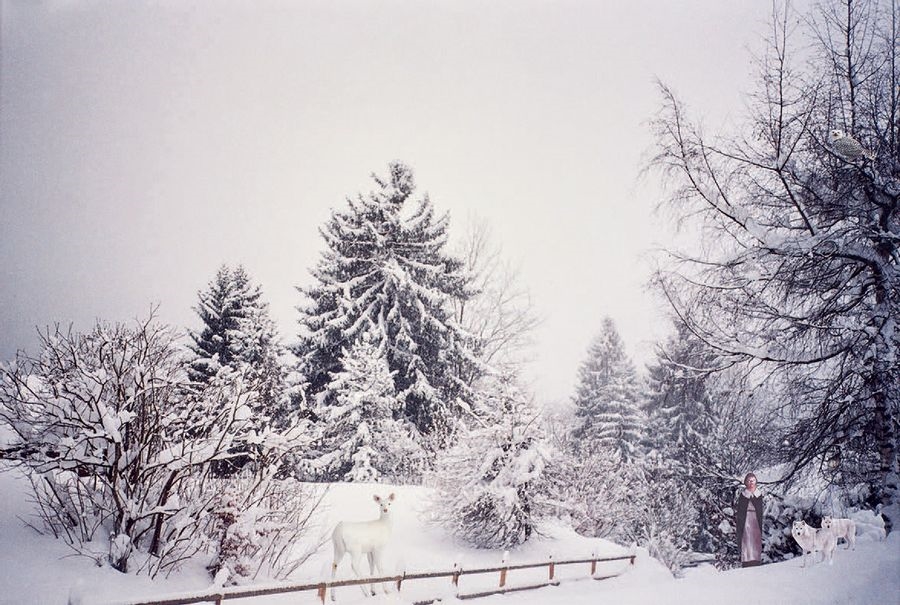 Marnie Weber | The white Deer (2000) | MutualArt