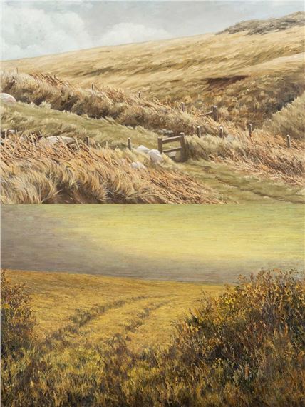 Peter Mace | Biography