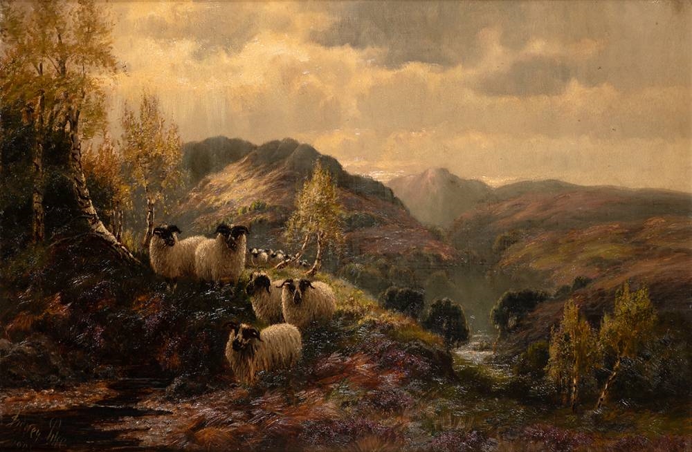 Sidney Pike | HIGHLAND SHEEP IN FOGGY SUNRISE (1905) | MutualArt