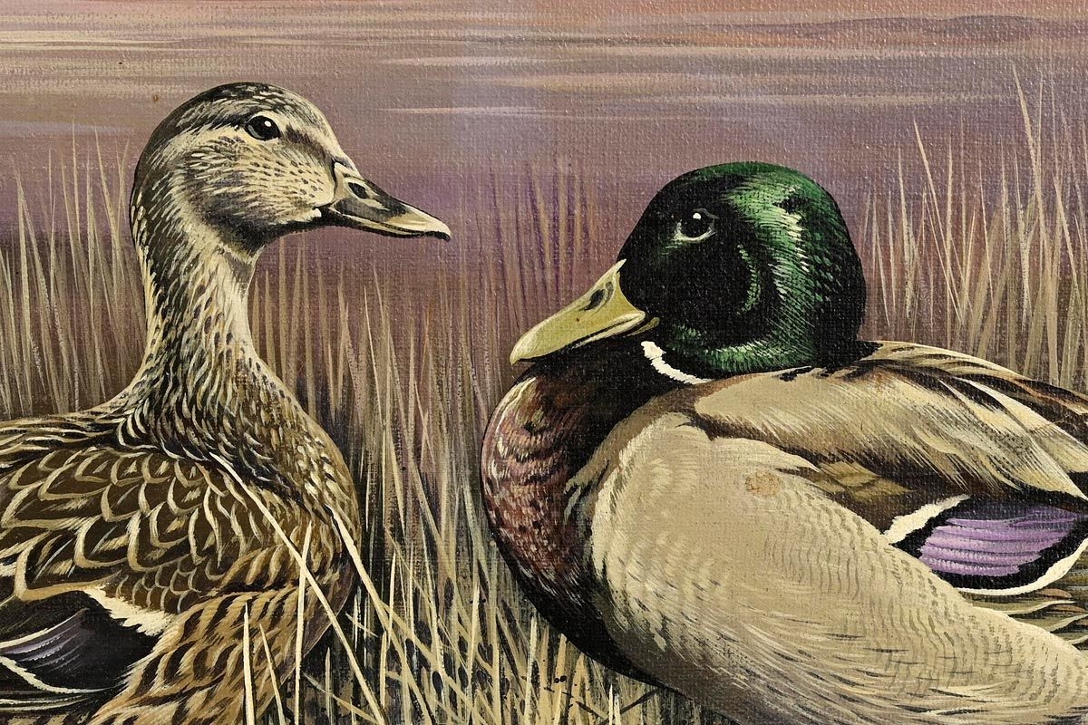 Richard Ward | Mallards | MutualArt